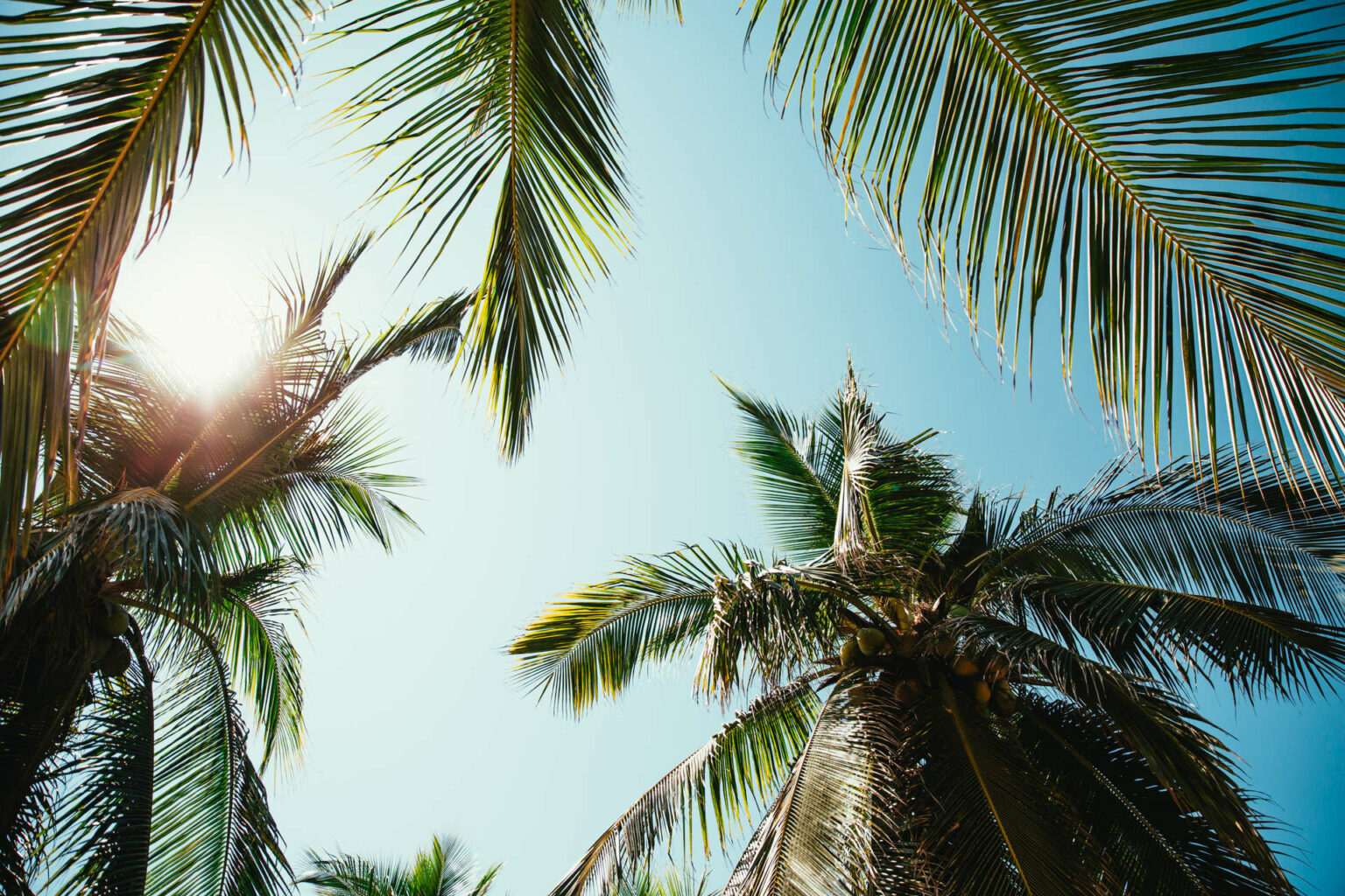 Jamaica Your Ultimate Travel Guide