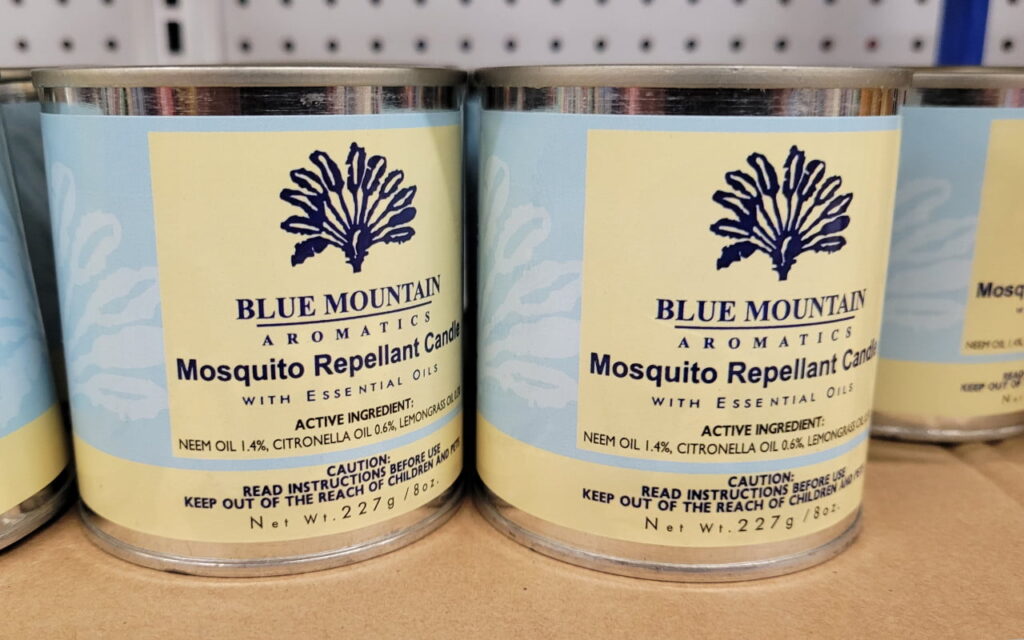 Mosquitoes in Jamaica (What to Expect & How to Stay Protected)